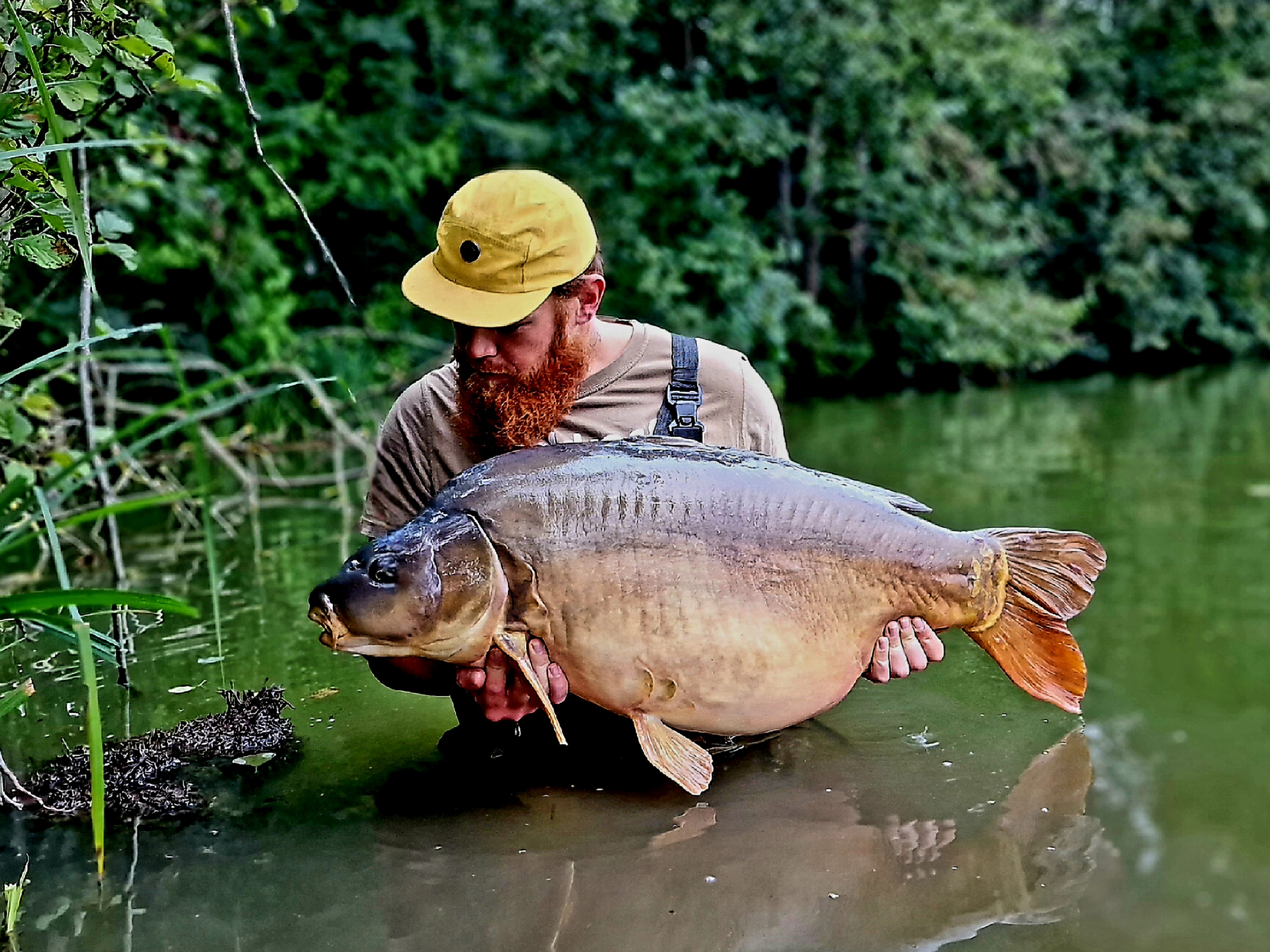 50lb 11oz mirror | Total Carp